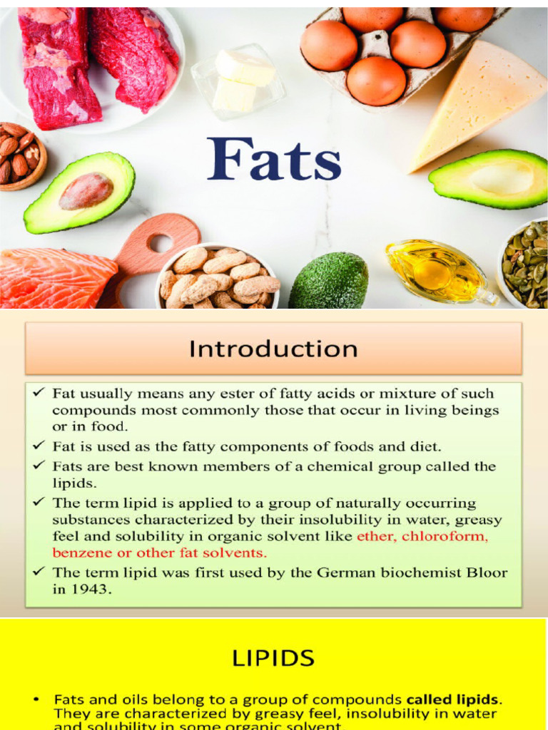 FAT Unit 4 BSC 2nd Sem | PDF