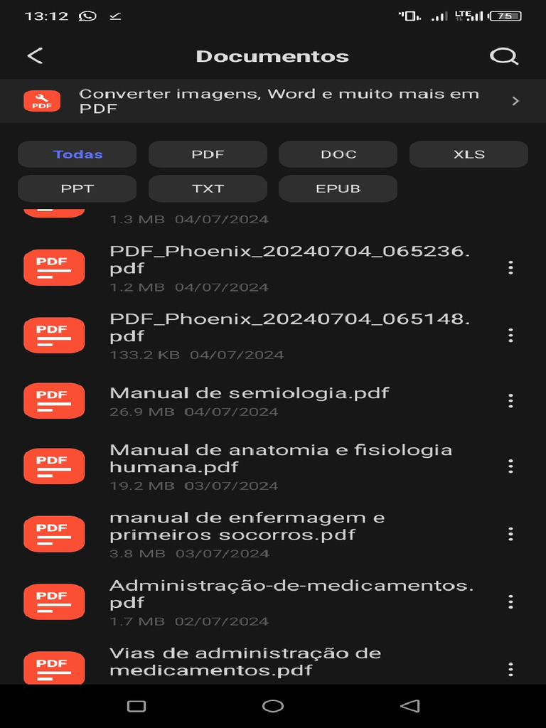 PDF_Phoenix_20240704_131442 | PDF