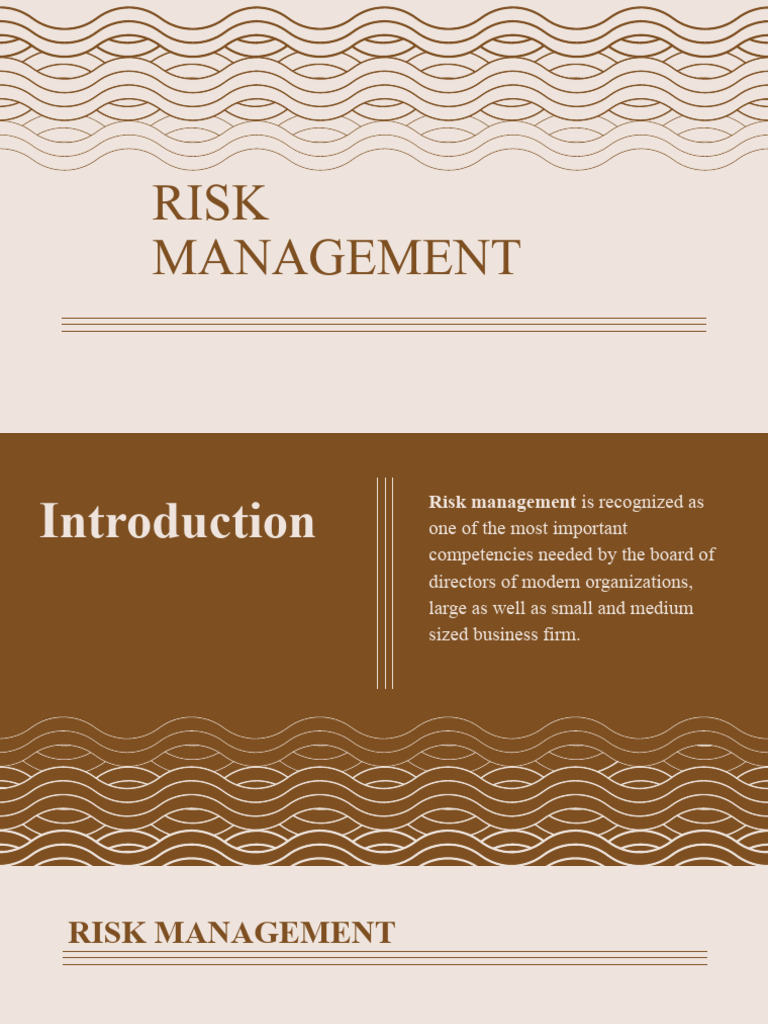 Risk Management | PDF | Risk | Risk Management