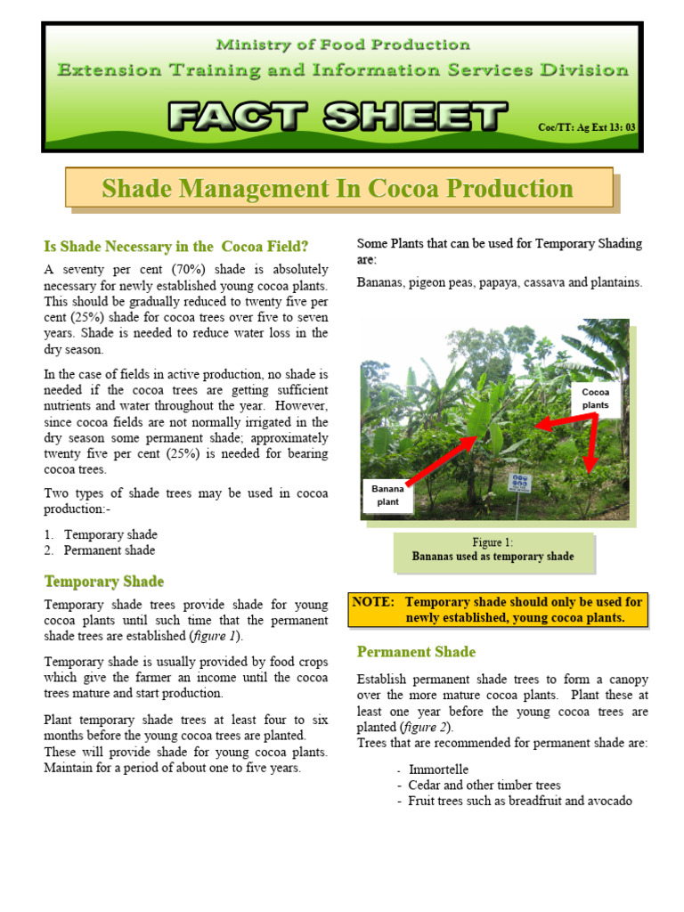 Shade Management in Cocoa Production | PDF | Cocoa Bean | Trees