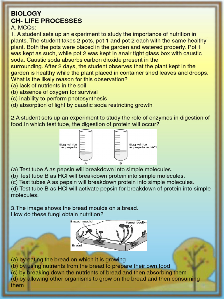 Biology Ch-Life Processes | PDF | Digestion | Glucose