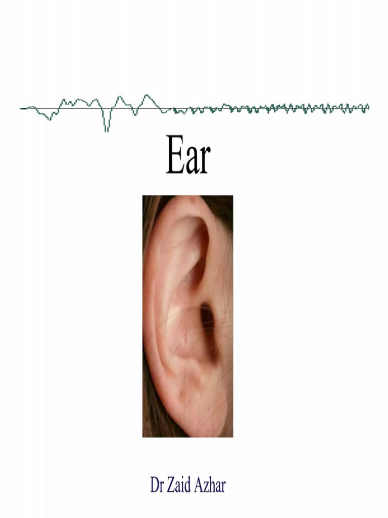Anatomy of the Ear | PDF