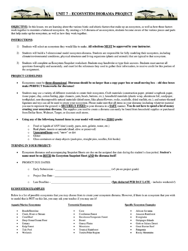 Ecosystem Diorama Project Instructions | PDF