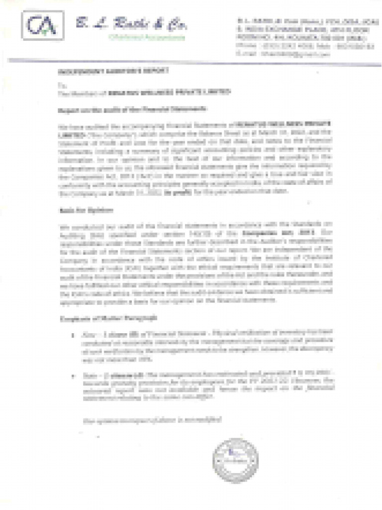 Audit Report And Balance Sheet Pdf