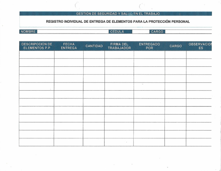 formato de EPP | PDF