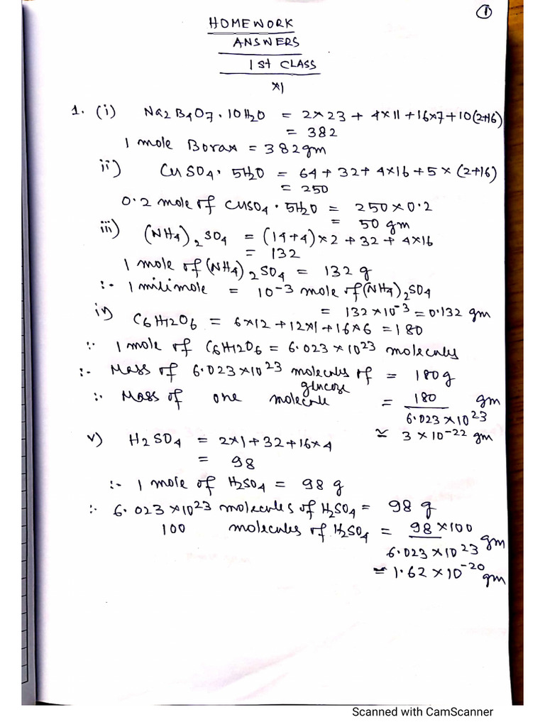 Answers 1st Class Homework Mole Concept | PDF