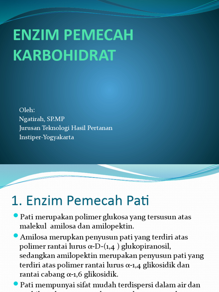 Enzim Pemecah KH - Protein | PDF