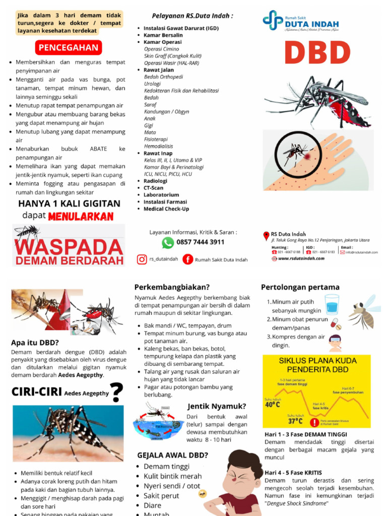 DBD | PDF