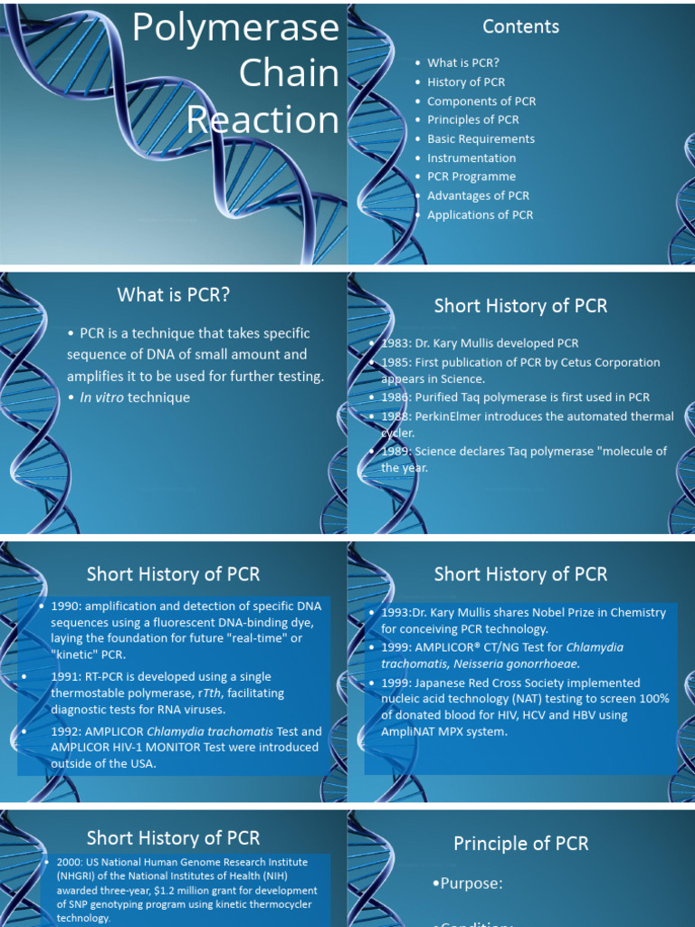 Lecture07 PCR | PDF | Polymerase Chain Reaction | Primer (Molecular Biology)