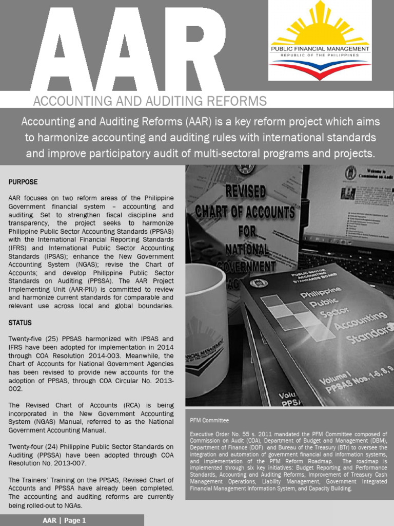 08 Accounting and Auditing Reforms Brief | PDF | Audit | Financial Audit