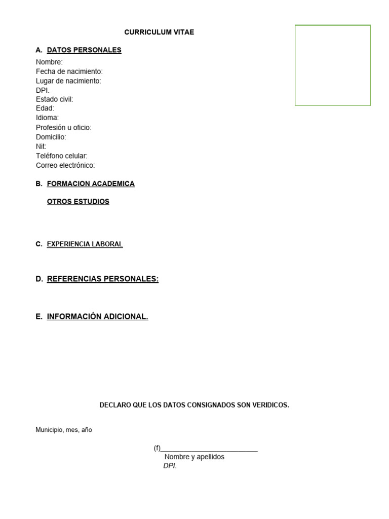 Formato CV | PDF | Derecho