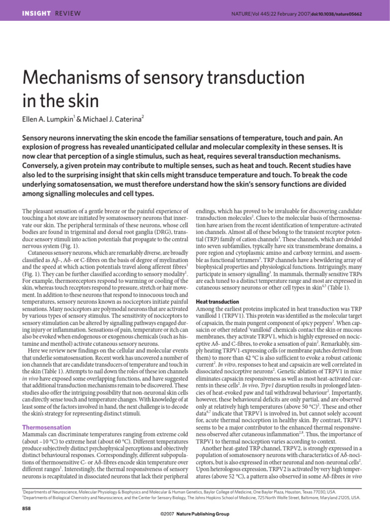 From Skin To Sensory System. Lumpkin2007 | PDF | Stimulus (Physiology ...