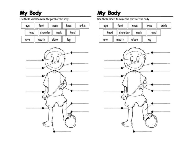 My Body | PDF