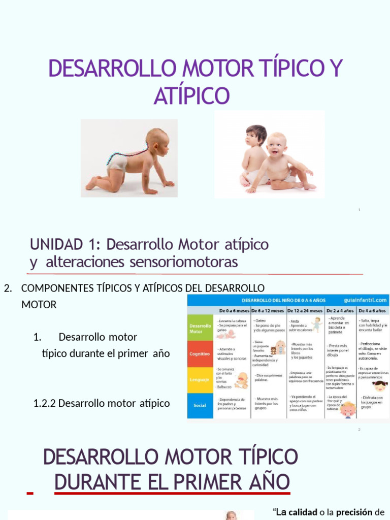 Desarrollo Motor Tipico | PDF | Pelvis | Bipedalismo