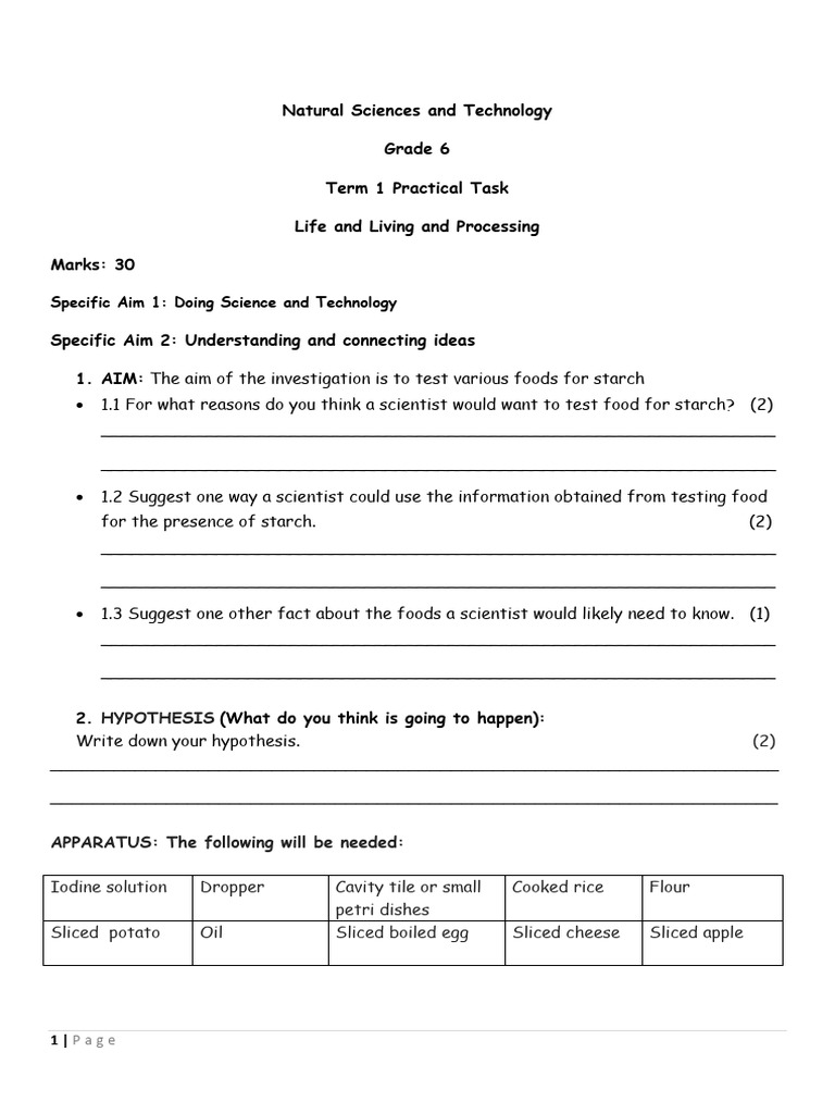 Grade 6 Practical Task 1 Term 1 2024. | PDF | Foods | Starch