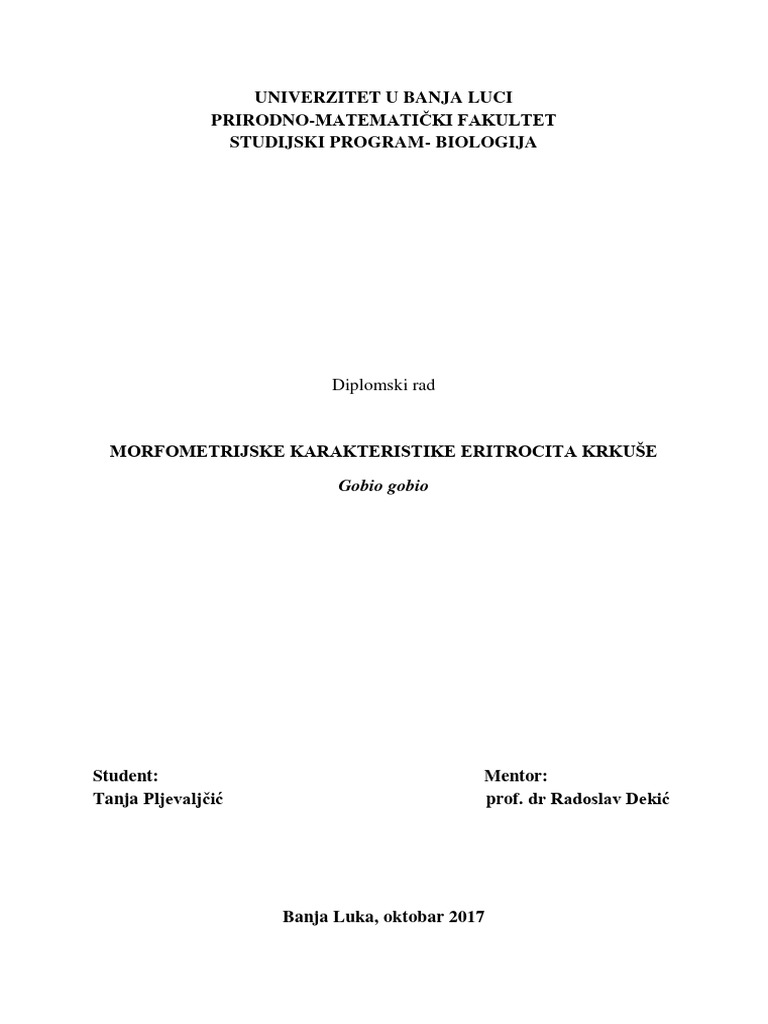 Diplomski Rad | PDF