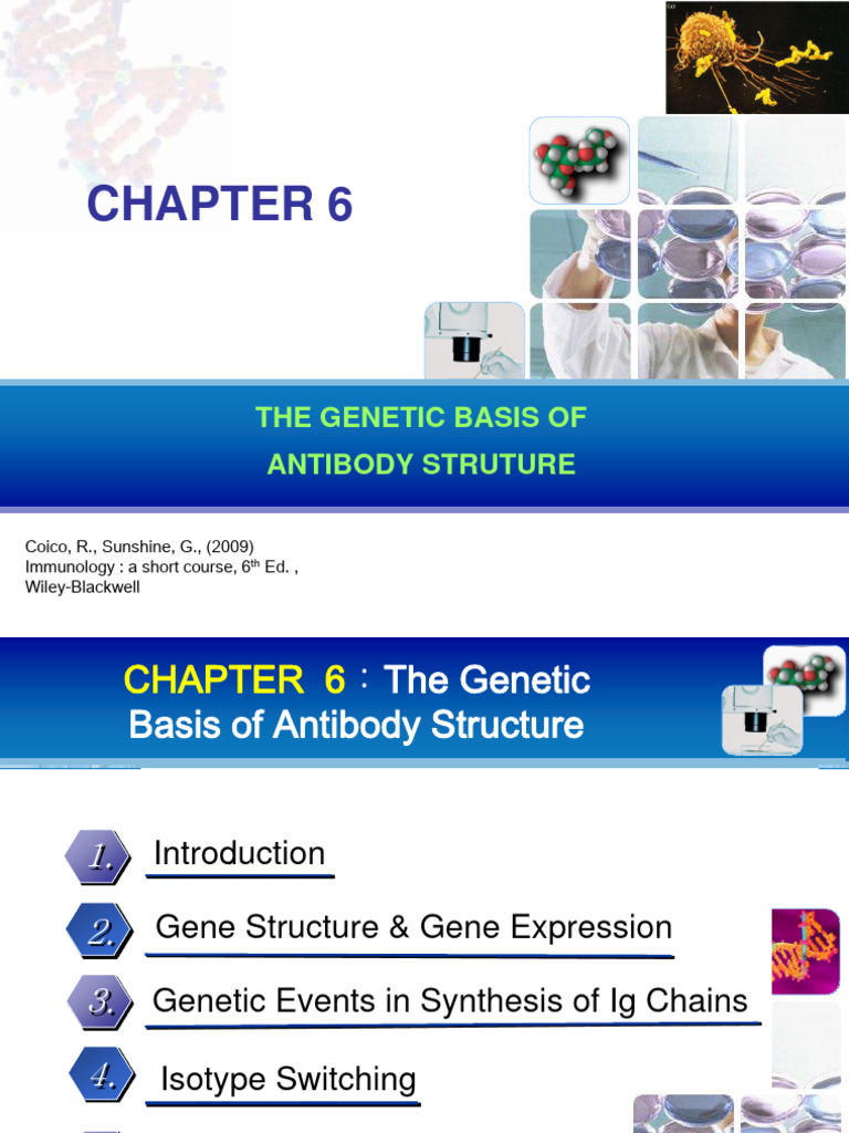 Immunology Pdf Antibody B Cell