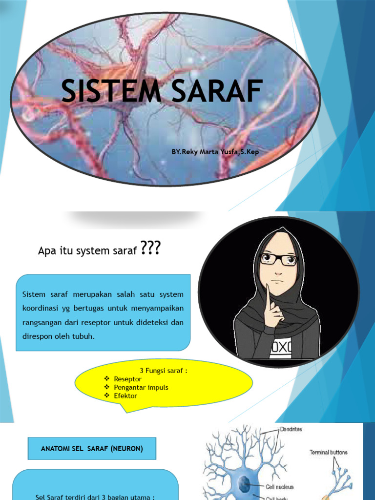 SISTEM SARAF Kls 12 | PDF | Kesehatan Holistik