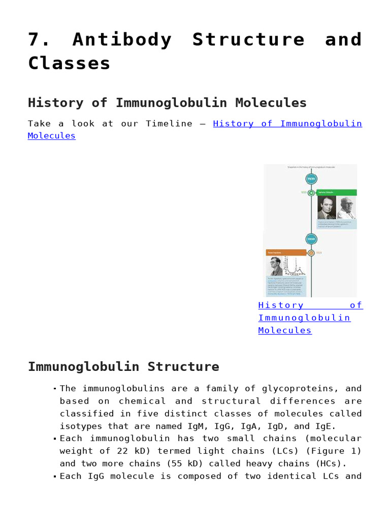 7 Antibody Structure and Classes | PDF | Antibody | Immunoglobulin G