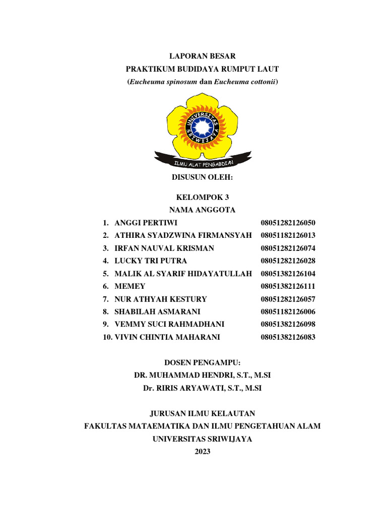 Laporan BDRL Kelompok 3 - Revisi - Removed | PDF