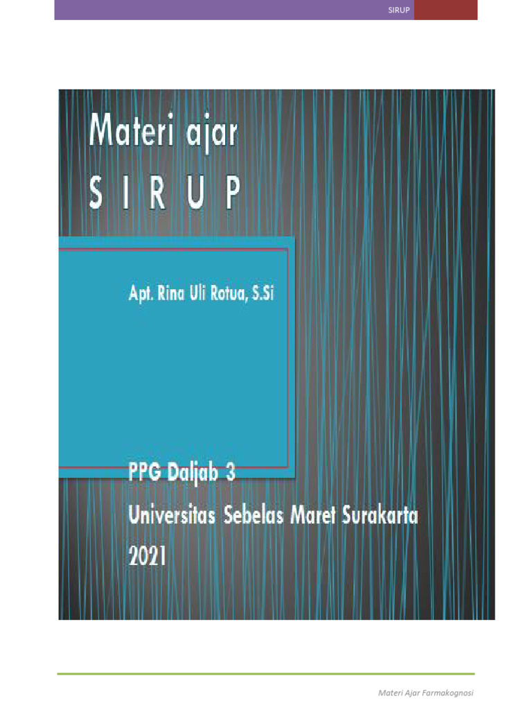 Materi Ajar SIRUP | PDF | Bisnis
