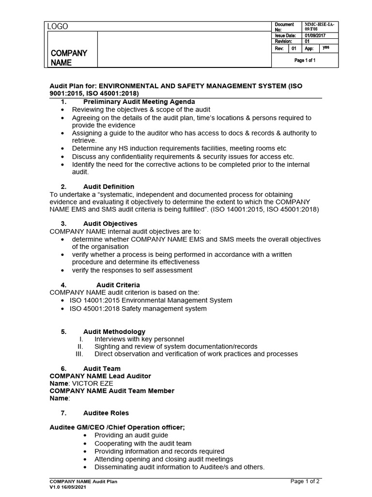 Sample Audit Plan | PDF | Audit | Business