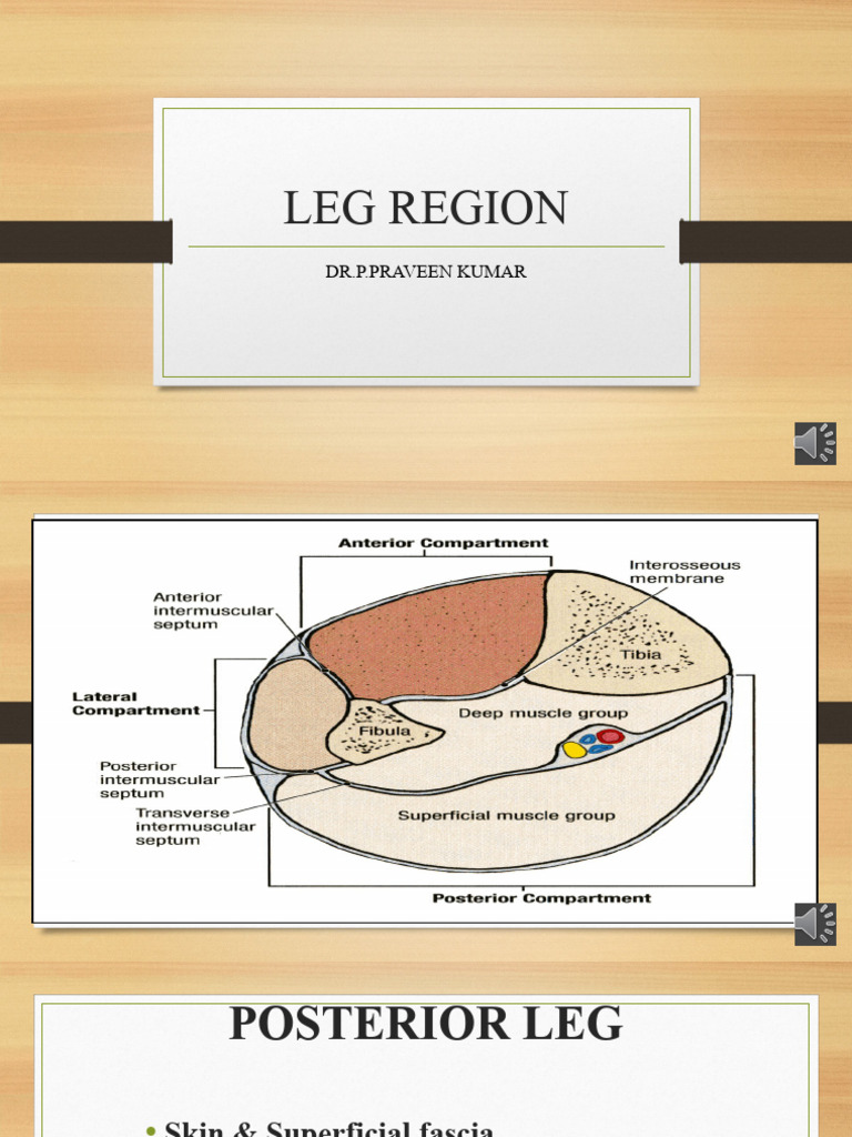 Leg Region Lamu | PDF | Human Leg | Knee