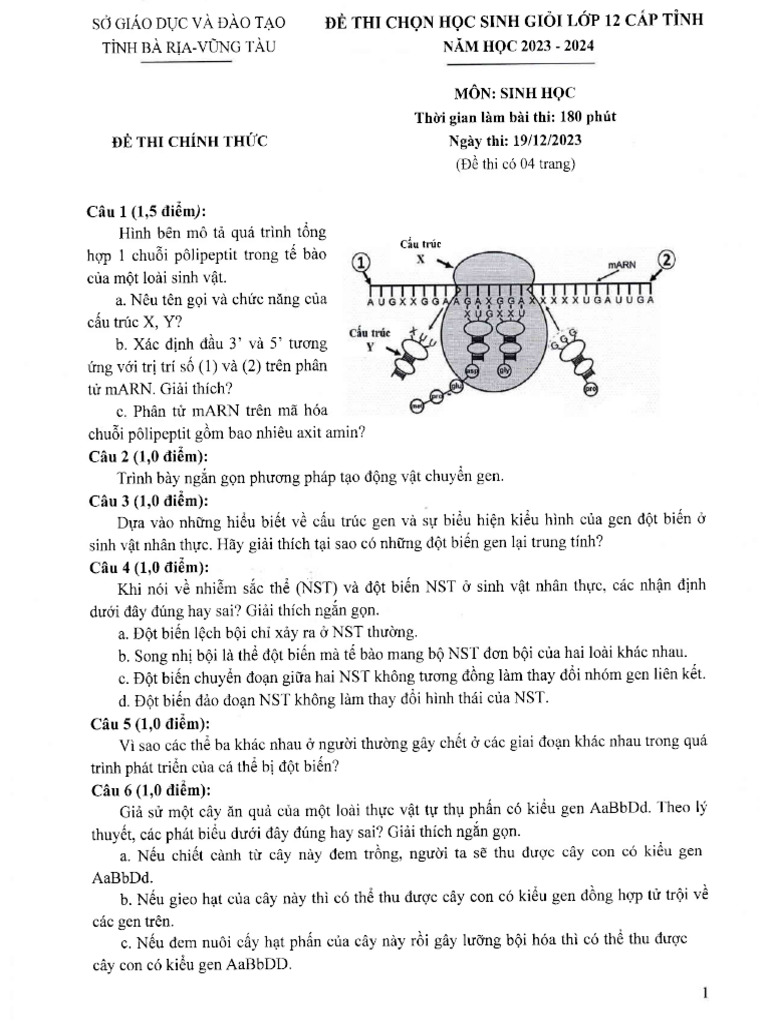 04.HDC HSG Lop 12 Nam Hoc 2023-2024 - Mon Sinh | PDF