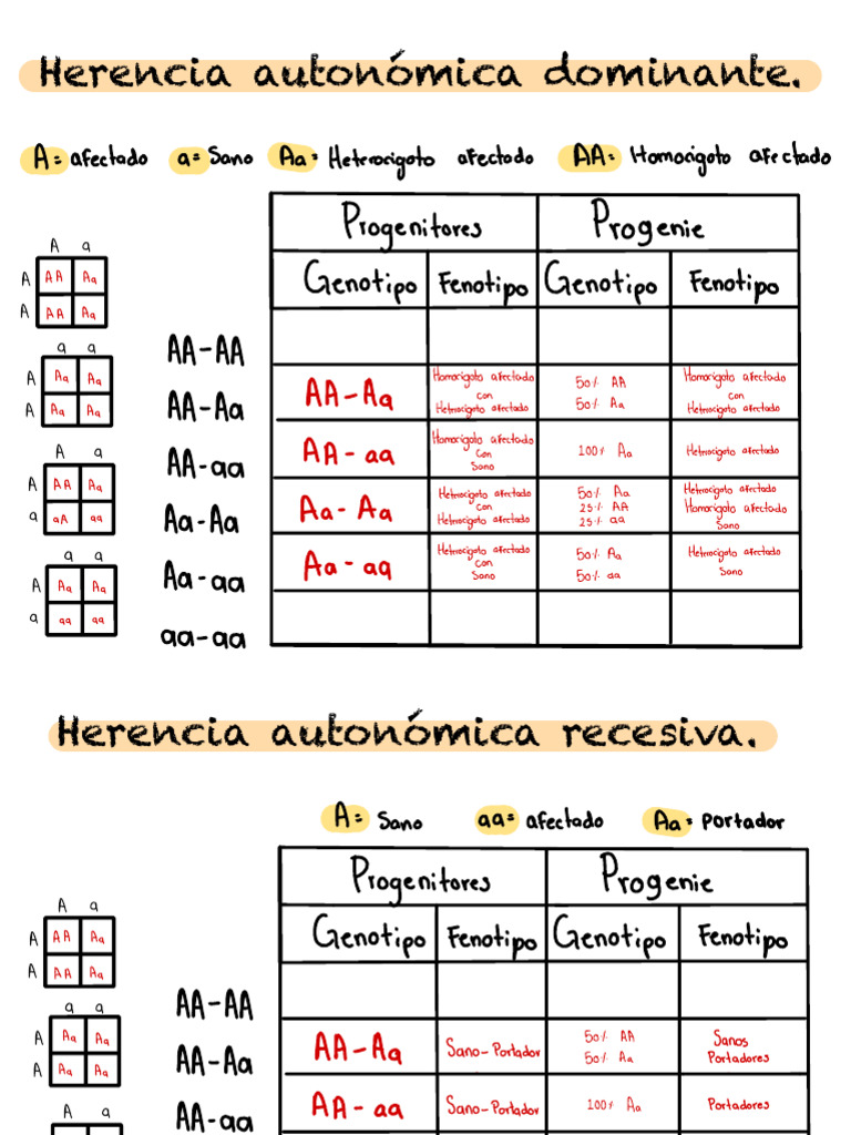 Cuadros de Punnet 1 | PDF
