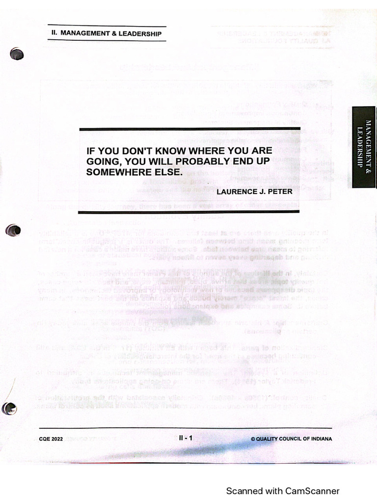 II - Management and Leadership | PDF