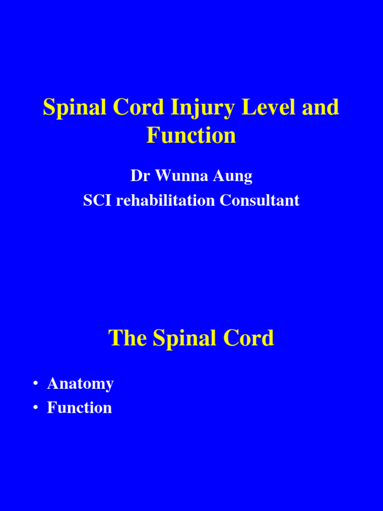 3SD SCI Level and Function DR Wunna Aung | PDF | Anatomical Terms Of ...