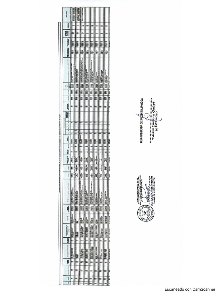 Formato 8 - Ris Pangoa | PDF