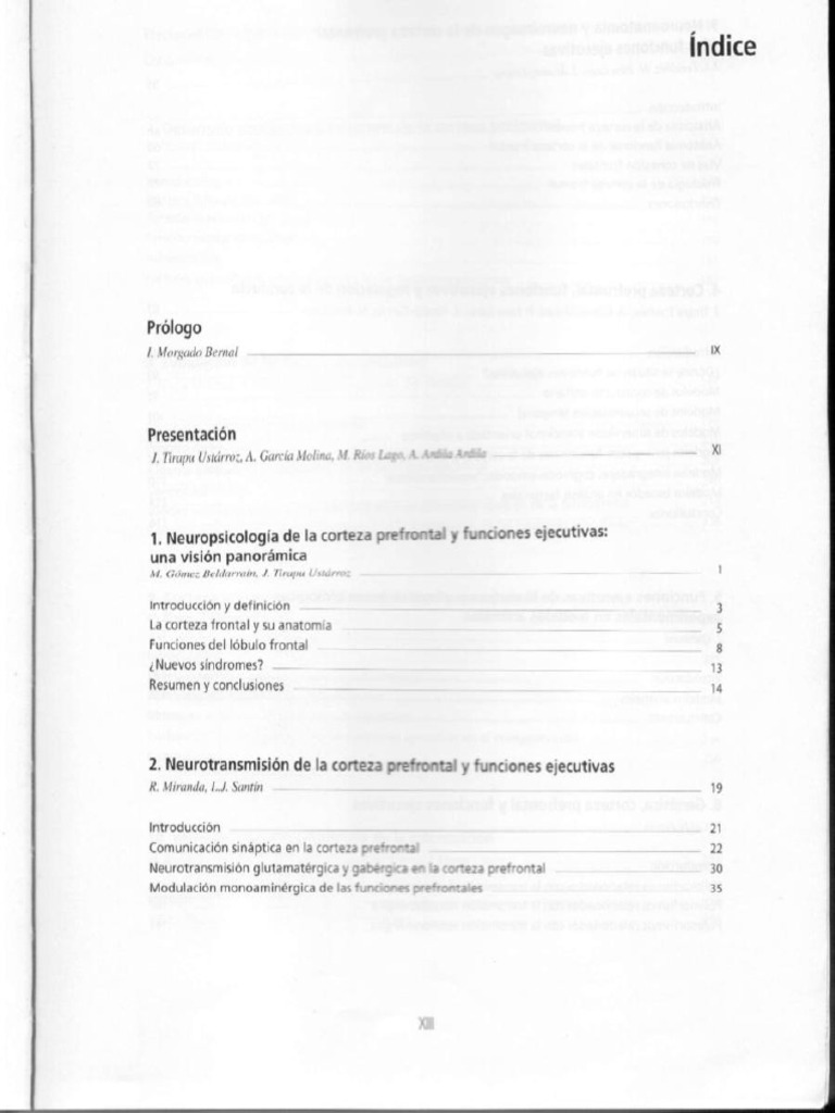 Neuropsicologia De Las Funciones Ejecutivas Y La Corteza Pf 8 Pdf Free