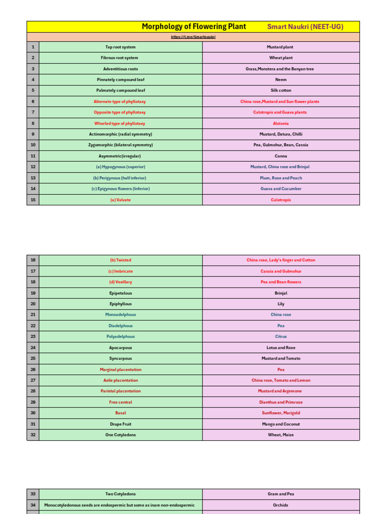 Plant Morphology and Root Systems Guide | PDF | Plants | Plant Morphology