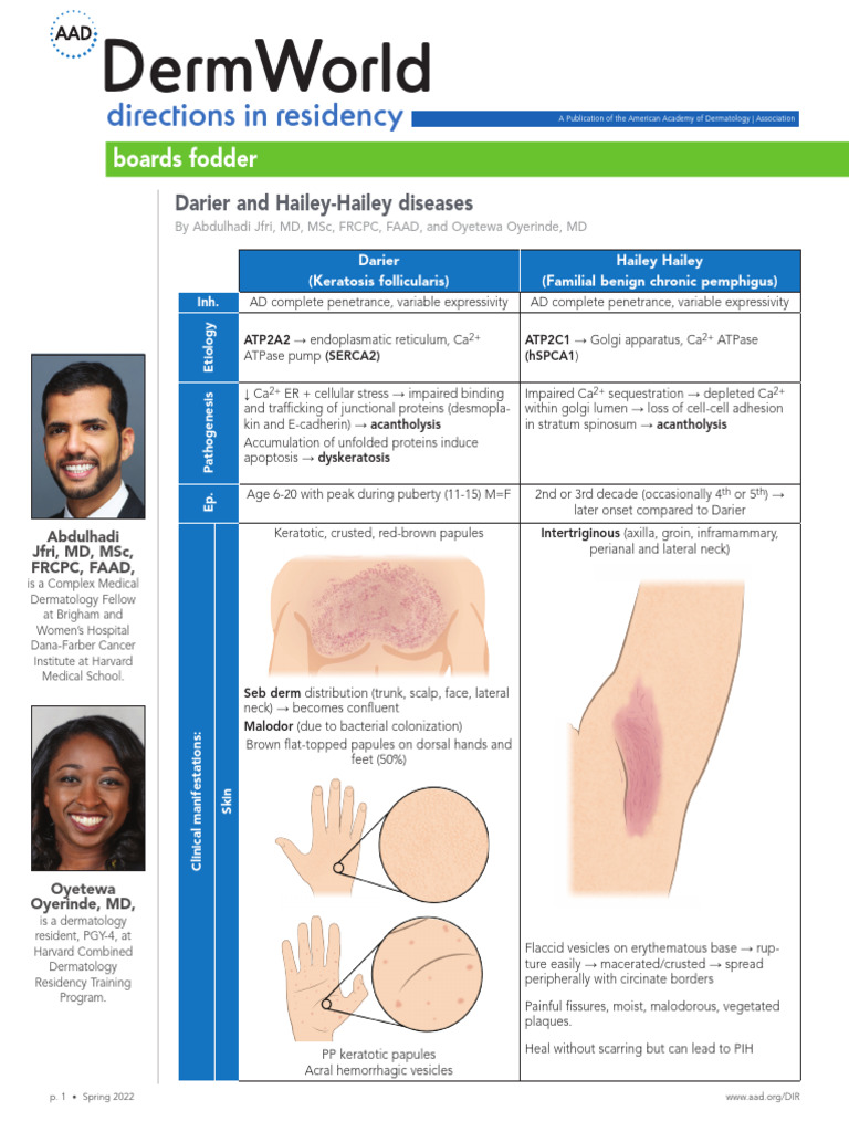 Darier Hailey Hailey | PDF | Endoplasmic Reticulum | Dermatology