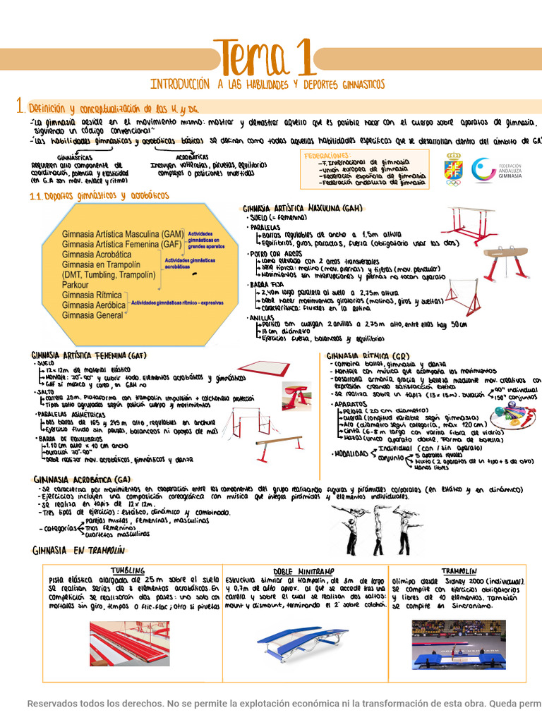Gimnasia Tema1 | PDF | Ejercicio físico | Juegos de habilidad física