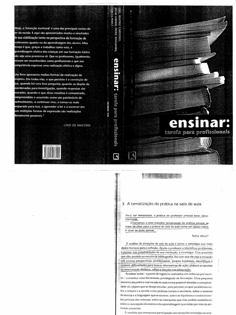 Capítulo 3-ENSINAR - TAREFA PARA PROFISSIONAIS (2) | PDF
