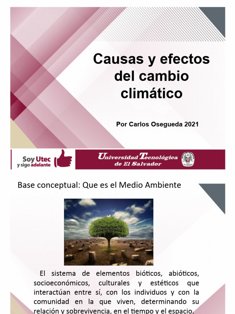 Cambio Climatico Causas Y Efectos 2 Pdf Gases De Efecto