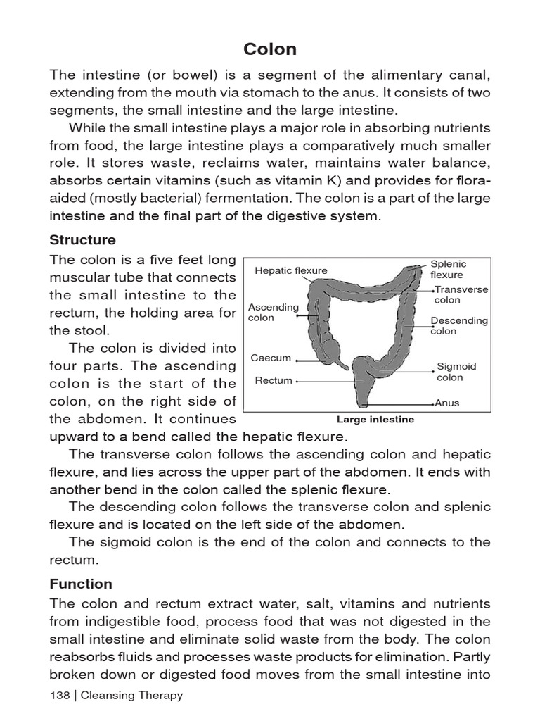 Colon Cleansing Therapy Explained | PDF | Large Intestine ...