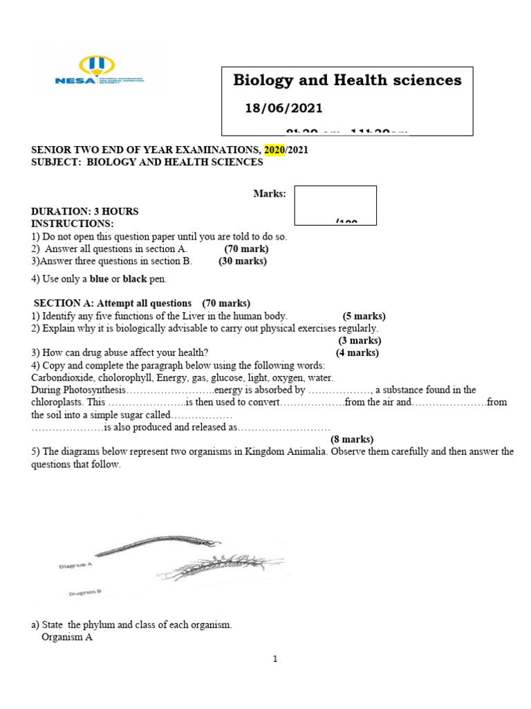 Senior Two Biology Exam 2021 | PDF | Kidney | Urine
