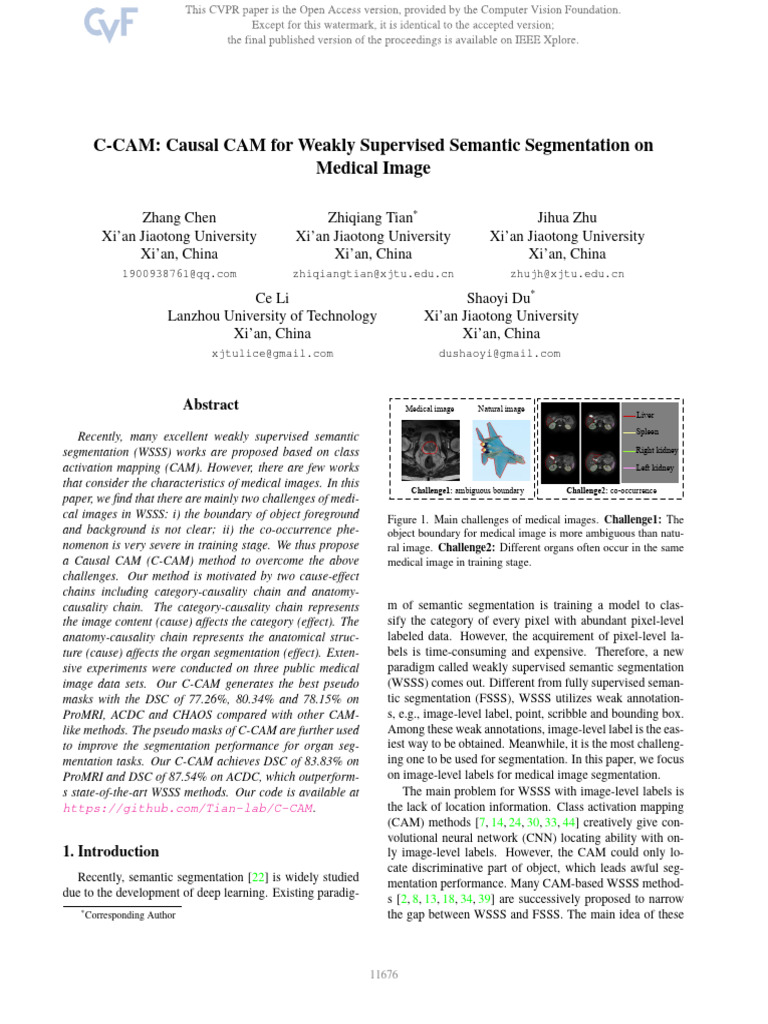 Chen C-CAM Causal CAM For Weakly Supervised Semantic Segmentation On Medical CVPR 2022 Paper ...