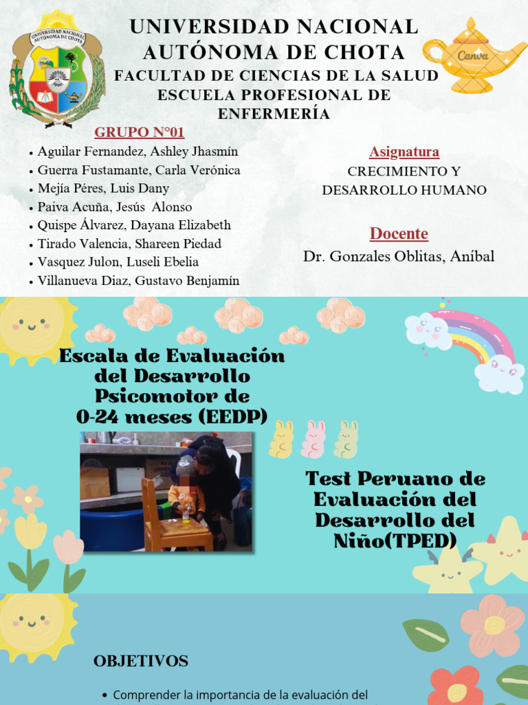 Diapositivas Seminario Eedp Tped | PDF | Enfermería