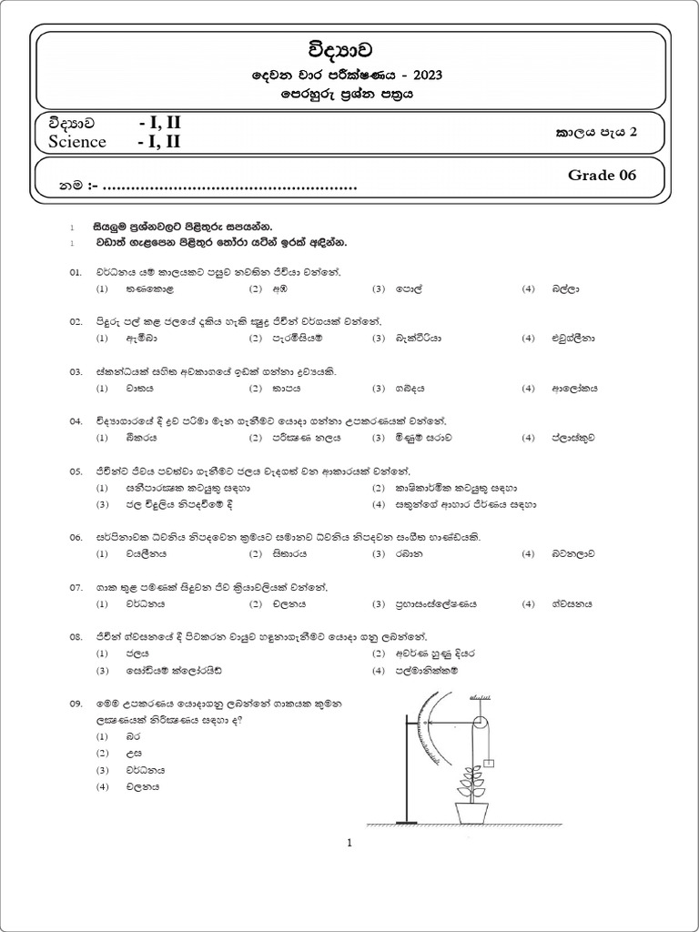 Grade 06 science 2nd term test | PDF