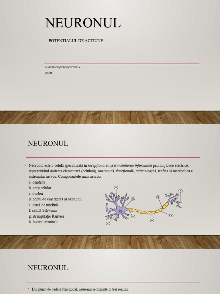 Neuron Ul | PDF