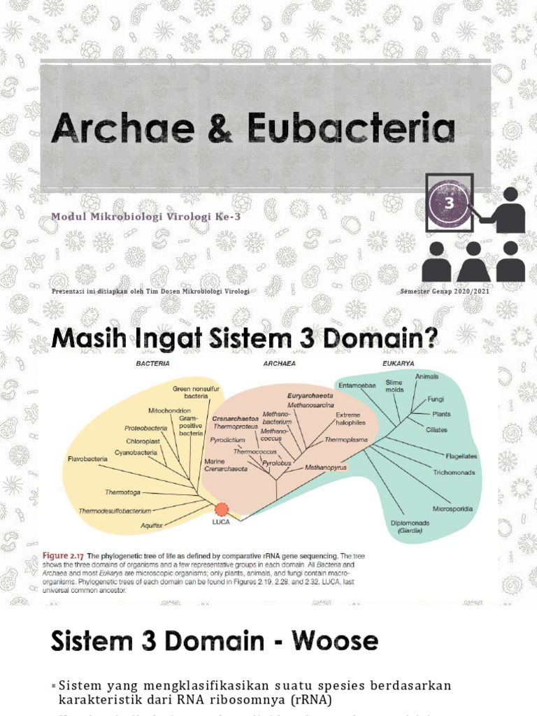 Modul 3 - Archae Eubacteria | PDF