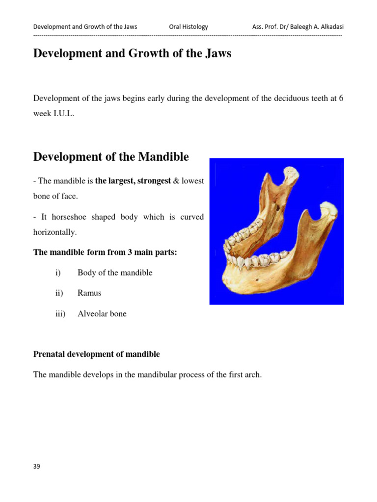 Development and Growth of The Jaws | PDF | Anatomy | Skeletal System