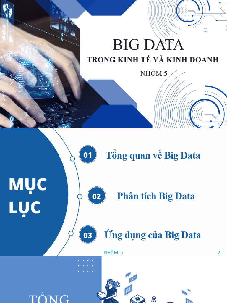 Tiểu Luận Tin Học BigData Trong Kinh Tế | PDF