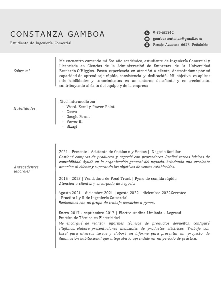Curriculum Profesional - Coni | PDF | Pequeñas y medianas empresas | Iniciativa empresarial