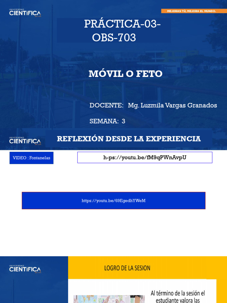 Guía Practica 03-Obs-703 | PDF