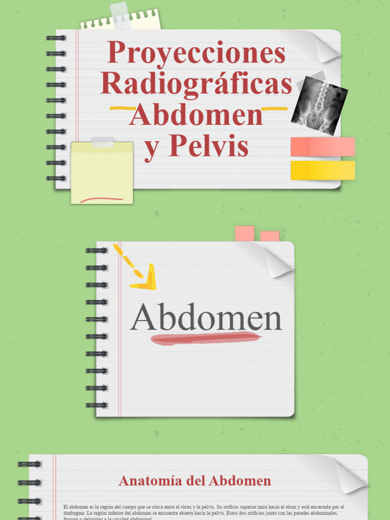 Proyecciones Radiograficas Abdomen y Pelvis | PDF | Pelvis | Abdomen